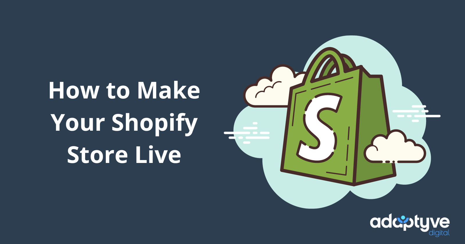 How to Make Your Shopify Store Live